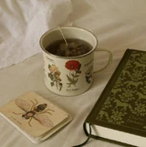 Cozycore | Aesthetics Wiki | Fandom