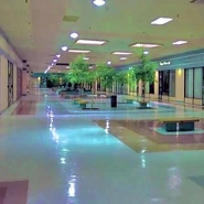 Mallsoft | Aesthetics Wiki | Fandom