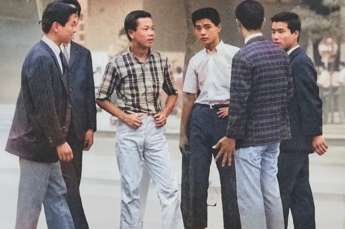 Japanese Ivy Style | Aesthetics Wiki | Fandom