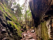 Adventurecore | Aesthetics Wiki | Fandom