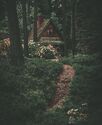 Forestpunk | Aesthetics Wiki | Fandom