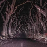 Haunted Mound | Aesthetics Wiki | Fandom