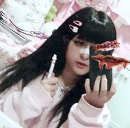 Cutegore | Эстетика Вики | Fandom