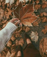 Christian Girl Autumn | Aesthetics Wiki | Fandom