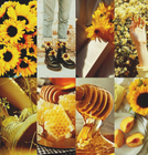 Honeycore | Aesthetics Wiki | Fandom