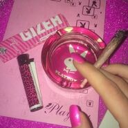 Bimbocore | Aesthetics Wiki | Fandom