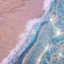 Beach Day | Aesthetics Wiki | Fandom