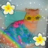 Tropicalcore | Aesthetics Wiki | Fandom