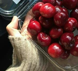 Picniccore | Aesthetics Wiki | Fandom