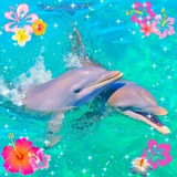 Tropicalcore | Aesthetics Wiki | Fandom