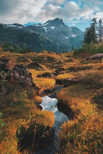 Adventurecore | Aesthetics Wiki | Fandom