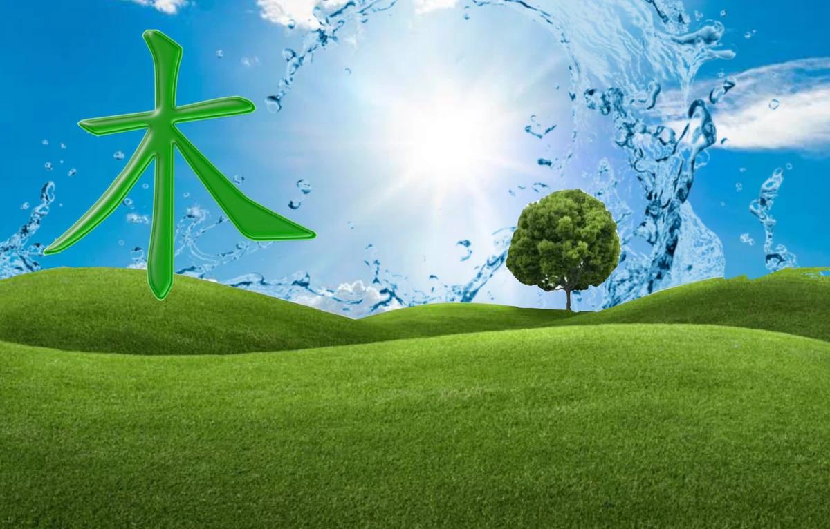 Fotonight Web | Aesthetics Wiki | Fandom