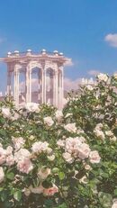 Bloomcore | Aesthetics Wiki | Fandom