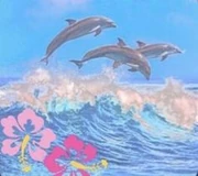 Tropicalcore | Aesthetics Wiki | Fandom