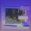 Webcore | Aesthetics Wiki | Fandom