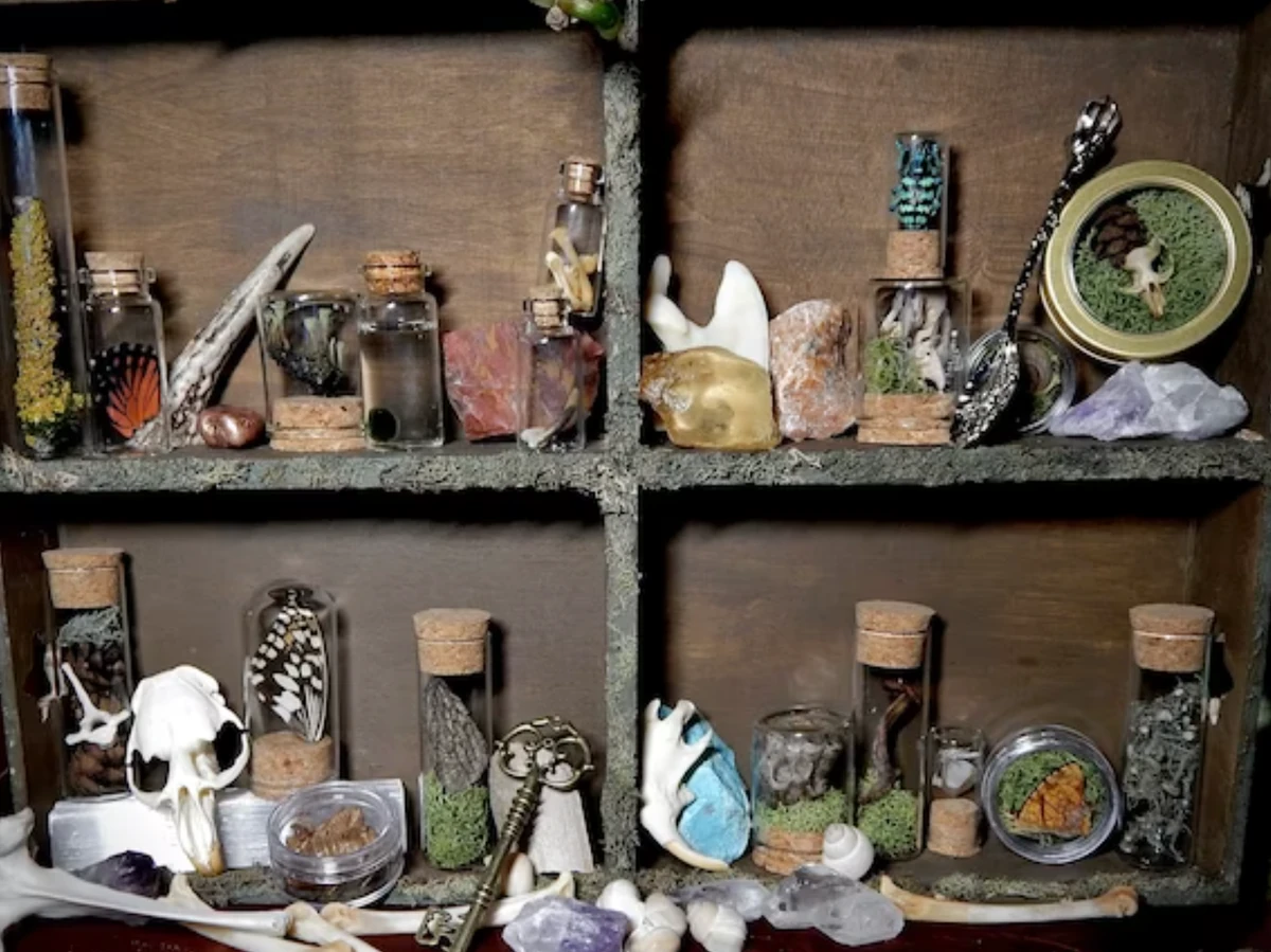 Category:Fantasy | Aesthetics Wiki | Fandom