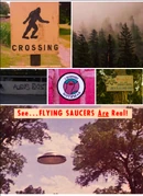 Cryptidcore | Aesthetics Wiki | Fandom