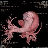 Divine Machinery | Aesthetics Wiki | Fandom