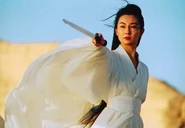 Wuxia | Aesthetics Wiki | Fandom