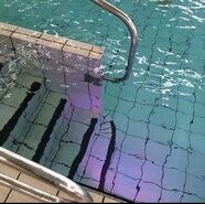 Poolcore | Aesthetics Wiki | Fandom