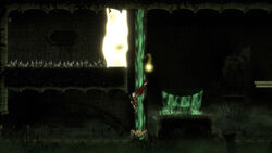 Stalking Spider | Aeterna Noctis Wiki | Fandom