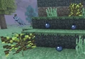 Blueberries - Aether Wiki