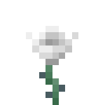 Flowers - Aether Wiki