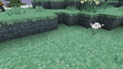 Minecraft Aether Sheep