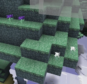 Purple Flower | The Aether Wiki: Genesis of the Void | Fandom