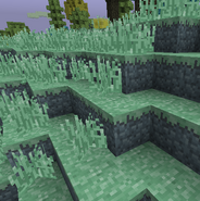 Tall Aether Grass | The Aether Wiki: Genesis of the Void | Fandom
