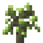 Sapling | The Aether Wiki: Genesis of the Void | Fandom