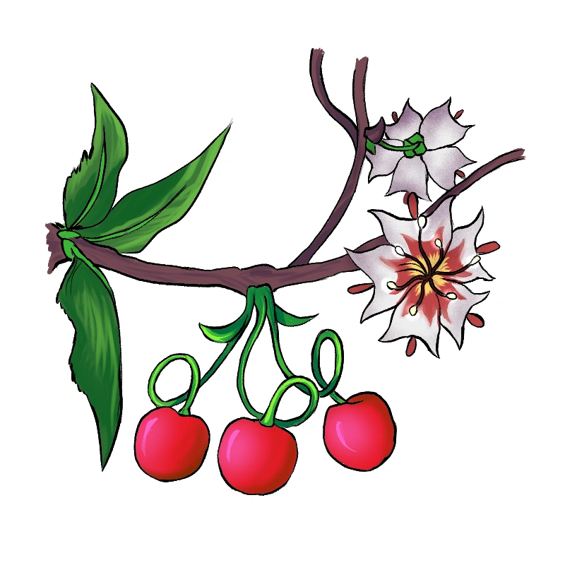 List of Berries | Aethmir Wiki | Fandom