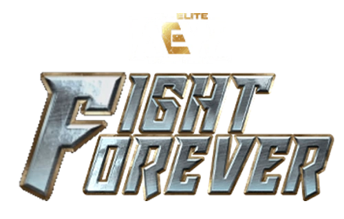 AEW Fight Forever | AEW Fight Forever Wiki | Fandom