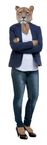 ACHS | AEWVS RP Wiki | Fandom