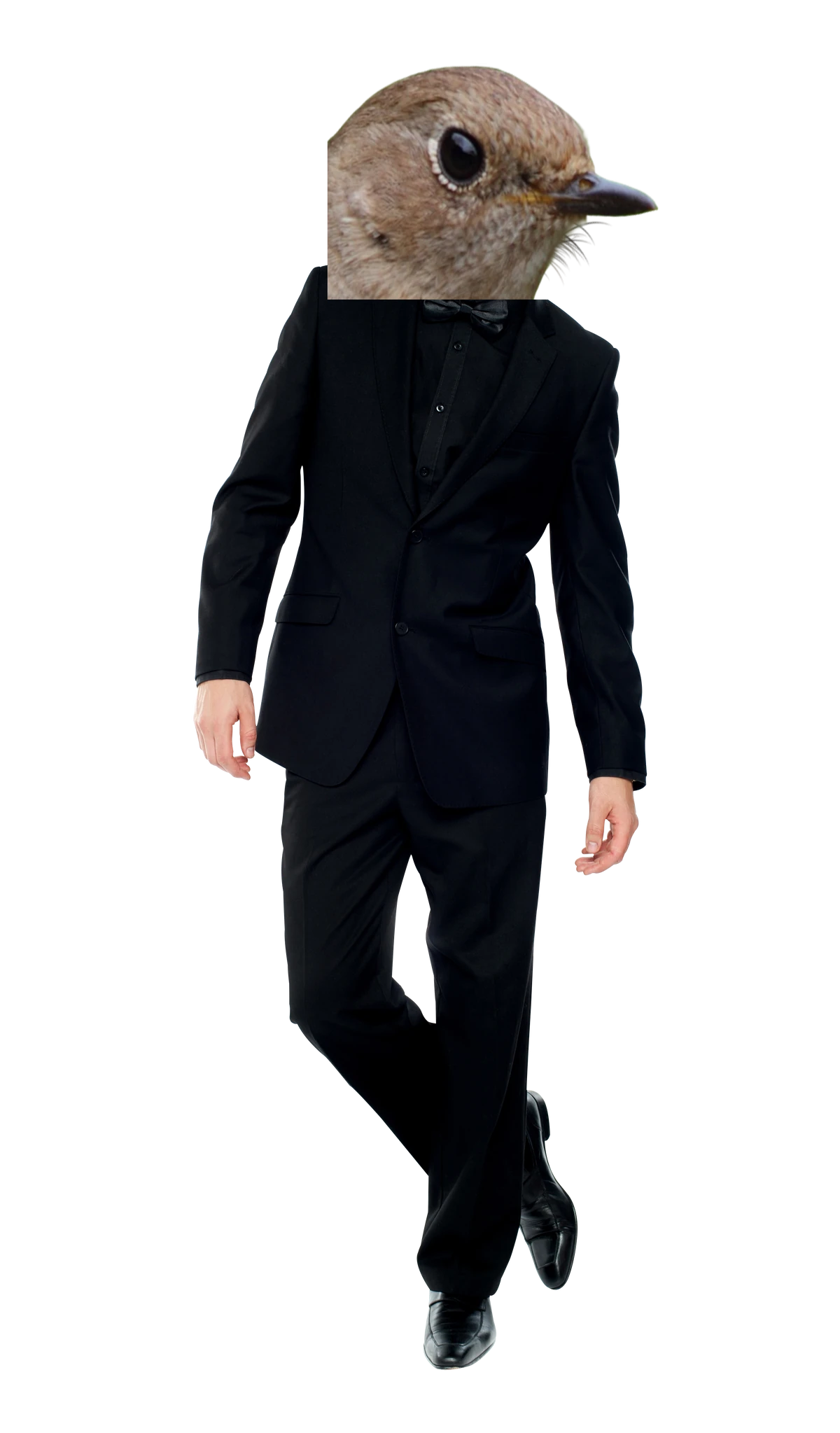 SFSAP | AEWVS RP Wiki | Fandom