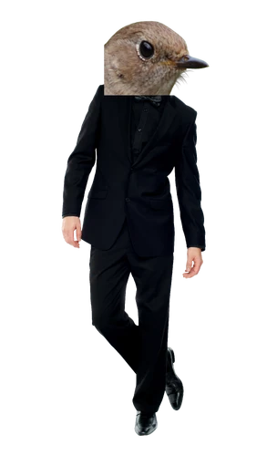 SFSAP | AEWVS RP Wiki | Fandom