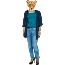 ACHS | AEWVS RP Wiki | Fandom