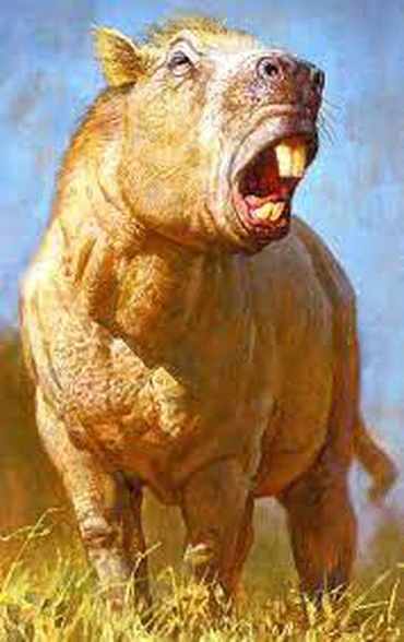 Discuss Everything About Dinopedia | Fandom