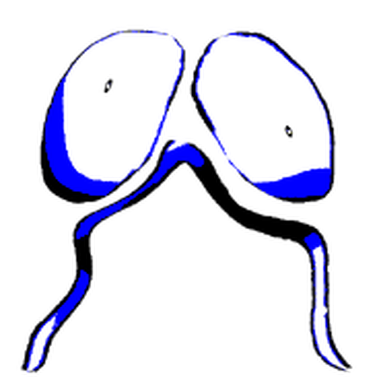 Z-24 looks like XX-35 | Fandom