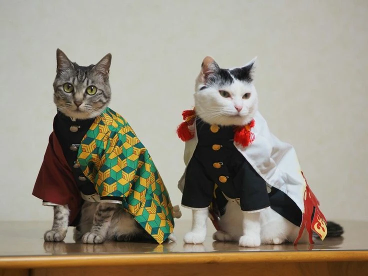 Kimetsu No Yaiba characters as cats | Fandom