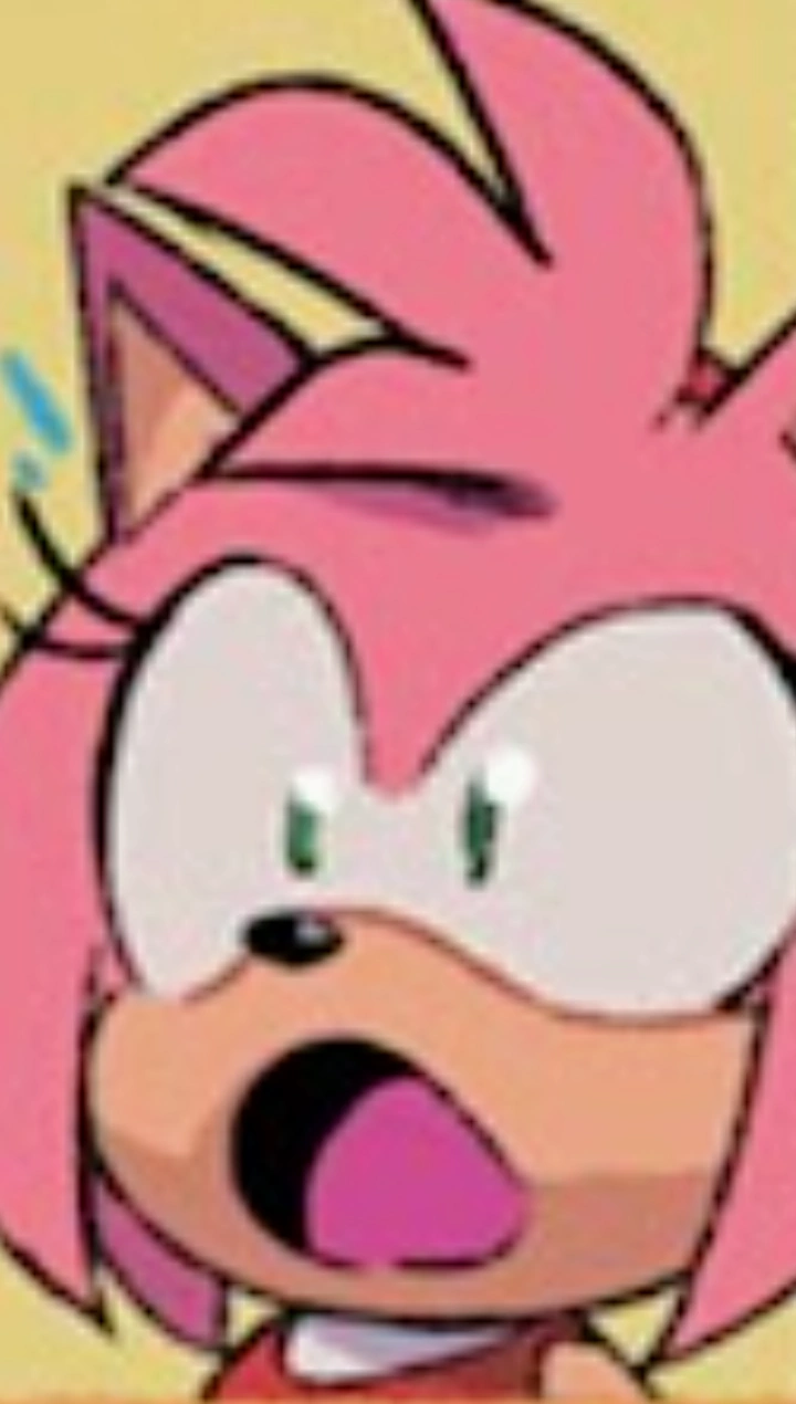 Amy rose ":0" face | Fandom
