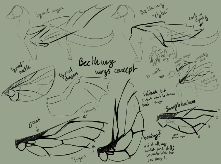 beetlewing wings maybe complete? | Fandom