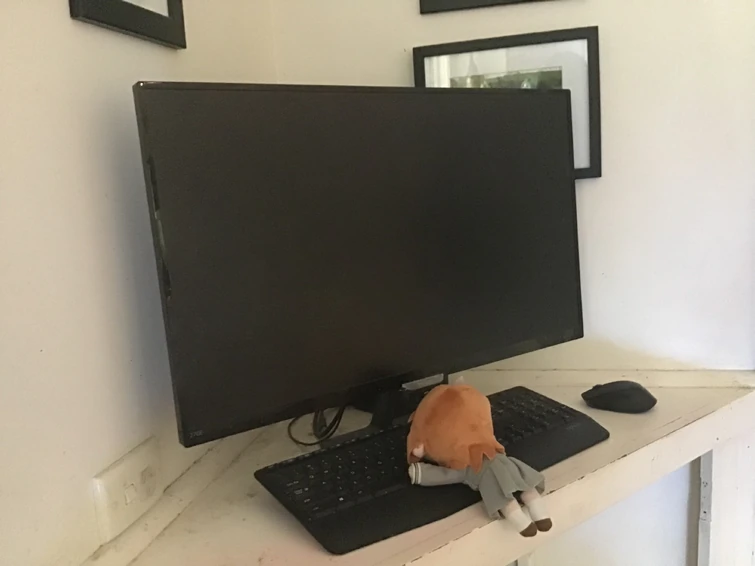 Minoneso is on the computer! | Fandom