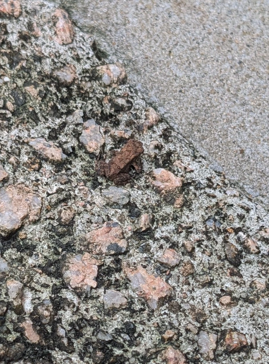 Caught in 4K | Fandom