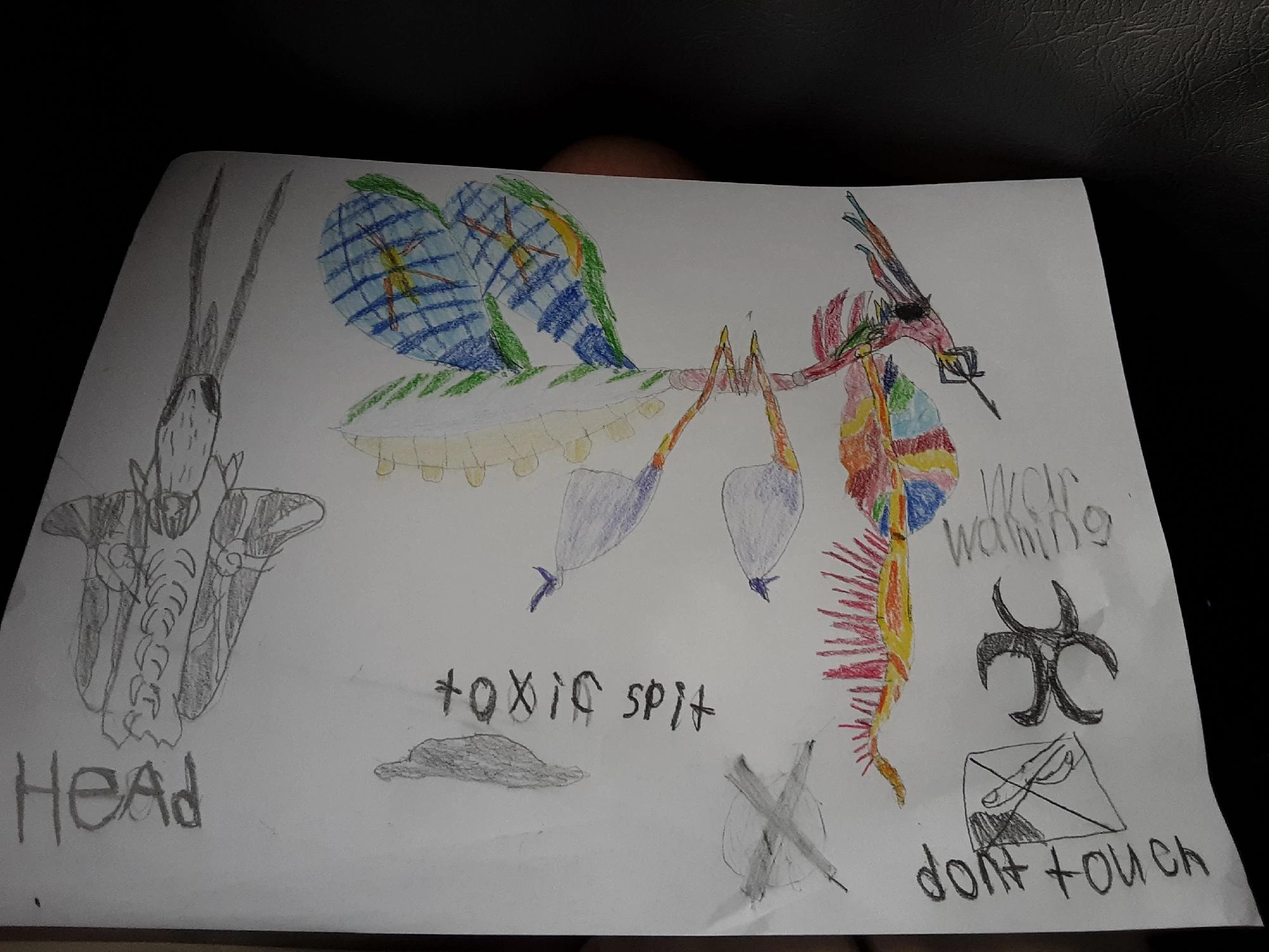 My mantis kaiju redesign. | Fandom