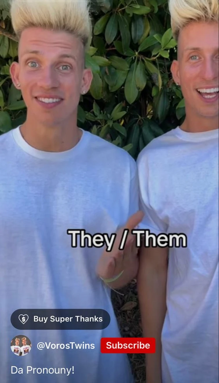 What even are the Da Vinki twins | Fandom