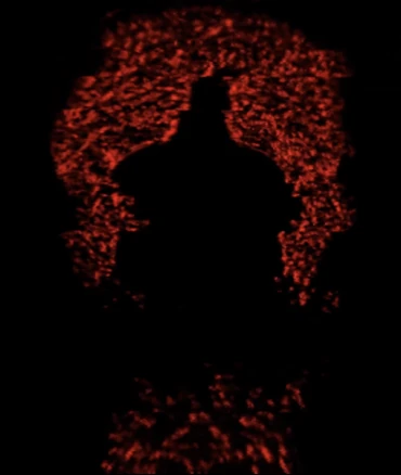 Which Phase 191 Remaster Do You Prefer? | Fandom