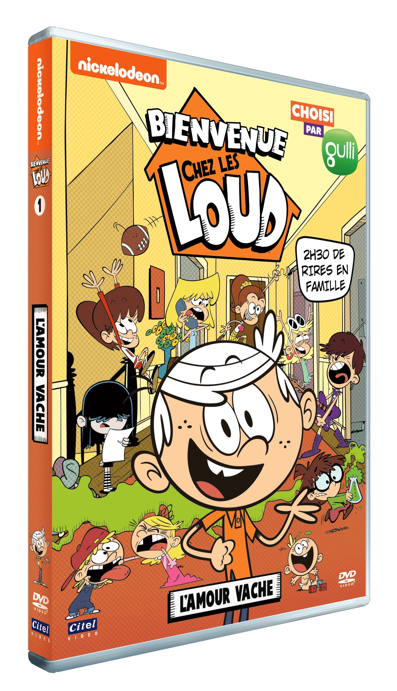 I hope that the French Loud House DVDs from Seasons 1-4 will be in "The ...
