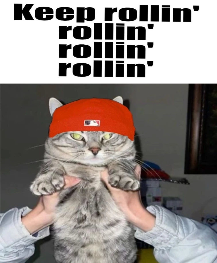 greetings to the ever so whimsical wikipedia | Fandom