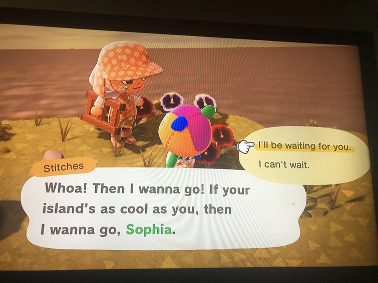Discuss Everything About Animal Crossing Wiki | Fandom